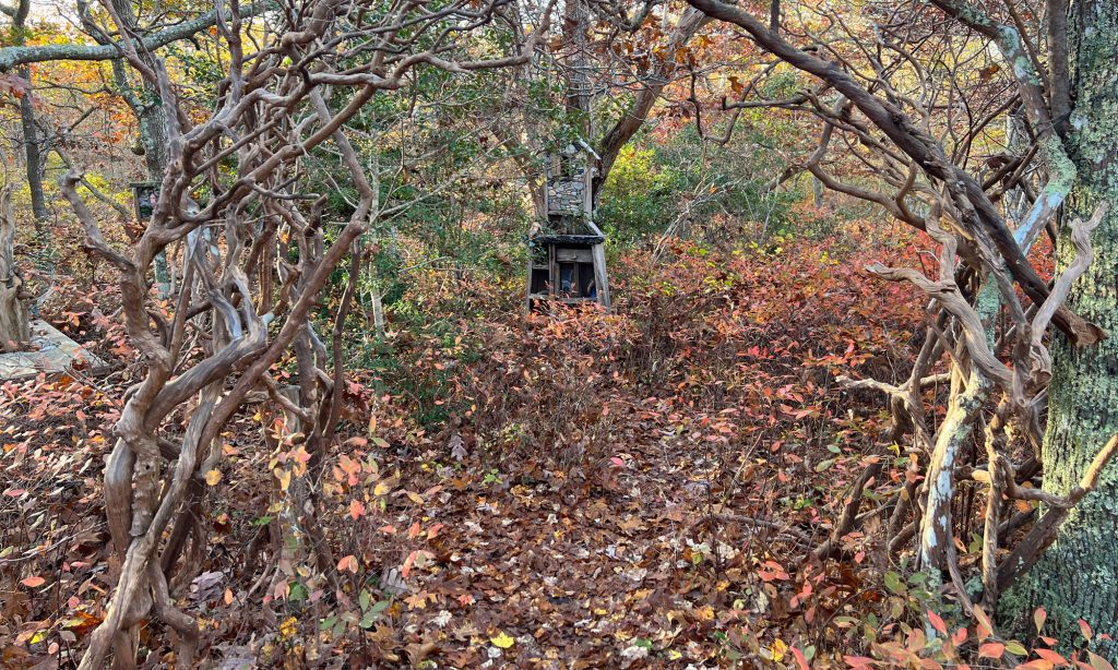 Fairy Sculpture Trail – Island Folk Pottery